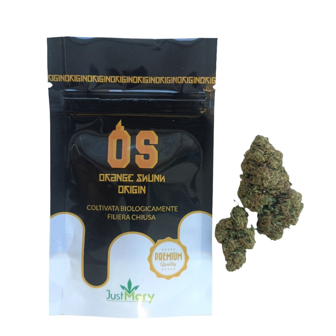 Orange Skunk Justmary INDOOR - 25% CBD - THC 0,5% - 2 Grammi | JustMary.com